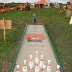 Nickajack Farms - 43 Photos & 11 Reviews - Farms - 2955 Manchester Ave ...