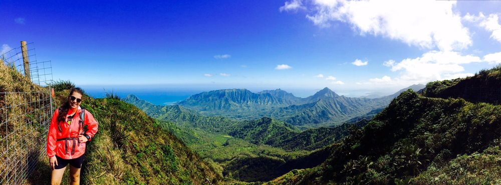 Poamoho Ridge Trail - 48 Photos - Hiking - Poamoho Hele Loa Rd, Wahiawa ...