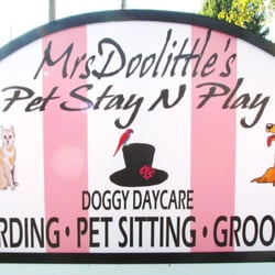 Mrs. Doolittle’s Pet Stay N Play - 29 Photos & 12 Reviews - Pet Sitting ...