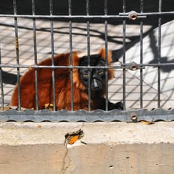 Baton Rouge Zoo - 144 Photos & 27 Reviews - Zoos - 3601 Thomas Rd ...