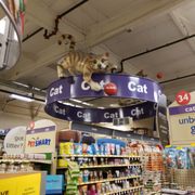 PetSmart - 26 Photos & 48 Reviews - Pet Stores - 7727 E Broadway Blvd ...