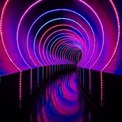 Kiss Kiss Nightclub - 12 Photos & 28 Reviews - Dance Clubs - 2831 ...