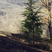 Zipline Canopy Tours - 44 Photos & 34 Reviews - Ziplining - 891 Old ...