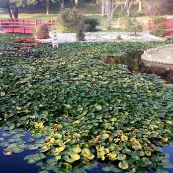 Kenneth Hahn State Recreation Area - 779 Photos & 252 Reviews - Parks ...