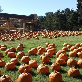 Fog Willow Farms - 121 Photos & 73 Reviews - Attraction Farms - 11011 ...