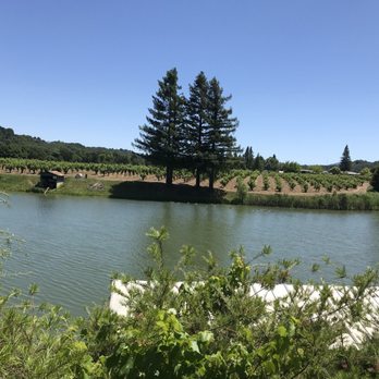 Testa Vineyards - 94 Photos & 40 Reviews - Wineries - 6400 N State St ...