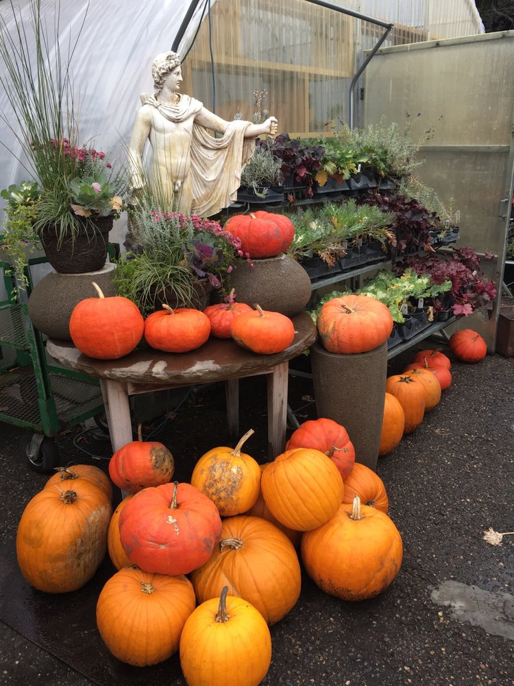 Tangletown Gardens - 10 Photos & 20 Reviews - Landscaping - 5353 ...