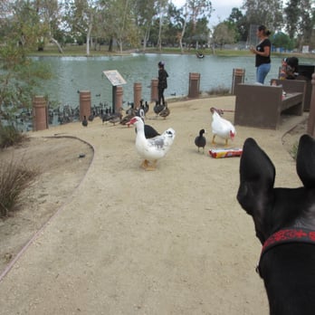 Centennial Regional Park - 43 Photos & 20 Reviews - Parks - 3000 W ...