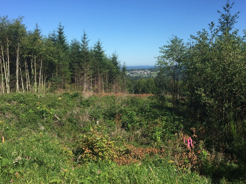 Snoqualmie Point Park - 24 Photos - Parks - 37580 SE Winery Rd ...