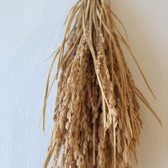 The Rice Factory - 194 Photos & 38 Reviews - Specialty Food - 955 ...