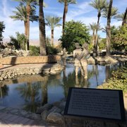 Shields Date Garden - 459 Photos & 389 Reviews - Fruits & Veggies - 80 ...