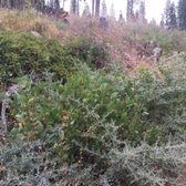 Stumpy Meadows - 89 Photos & 43 Reviews - Campgrounds - Eldorado ...