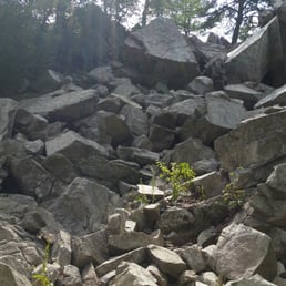 Freetown- Fall River State Forest - 50 Photos - Hiking - 110 Slab ...