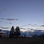 Giuffrida Park - 57 Photos & 25 Reviews - Hiking - 800 Westfield Rd ...