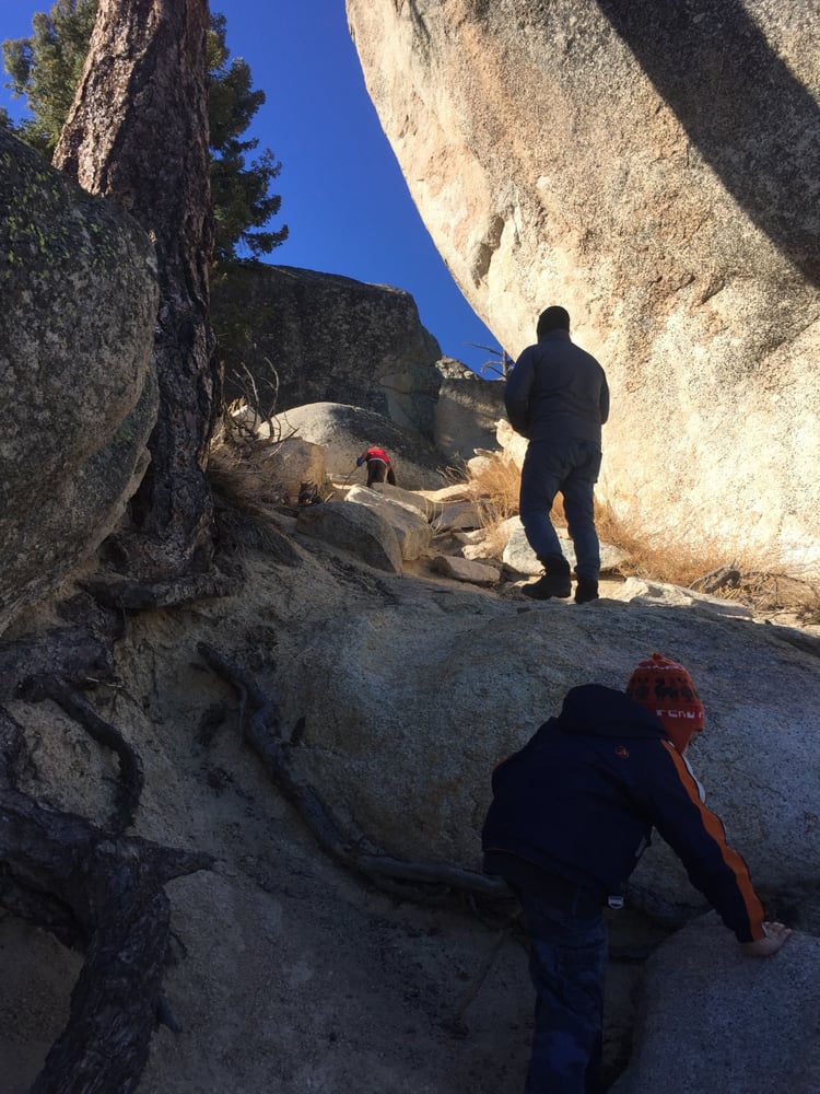 YMCA Camp Whittle - 55 Photos - Community Service/Non-Profit - 31701 ...