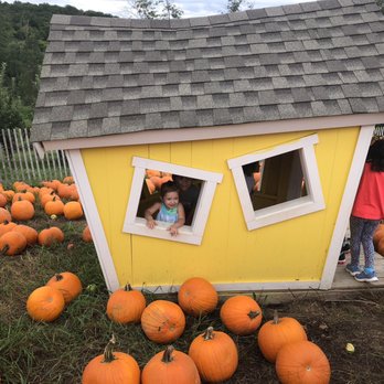 Apple Ridge Orchards - 127 Photos & 50 Reviews - Pick Your Own Farms ...