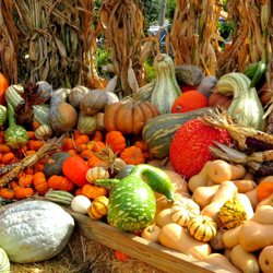 Silverman’s Farm - 68 Photos & 63 Reviews - Farmers Market - 451 Sport ...