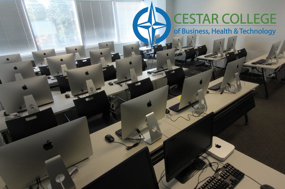 Cestar College Of Business, Health And Technology - 2019 All You Need ...