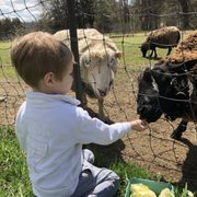 Ingaldsby Farms - 24 Photos & 12 Reviews - Farmers Market - 14 ...