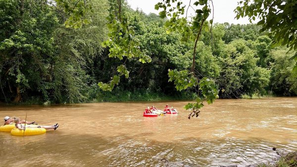 Gallant, AL Map & Directions - MapQuest