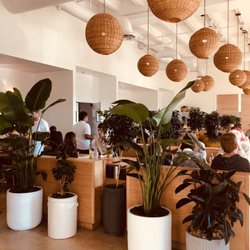 Hank’s - 420 Photos & 331 Reviews - Coffee & Tea - 5811 Berkman Dr ...