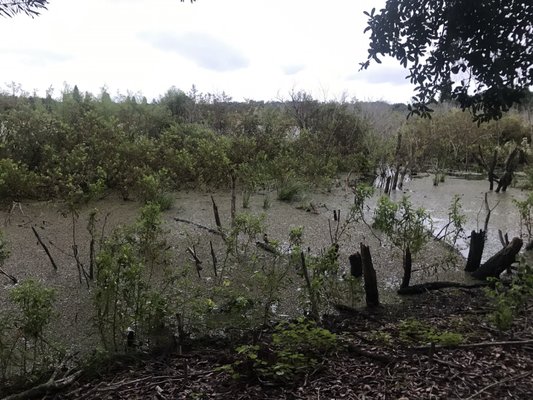 Seffner, FL Map & Directions - MapQuest