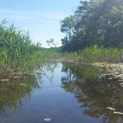 Brighton State Recreation Area - 17 Photos - Hiking - 6360 Chilson Rd ...