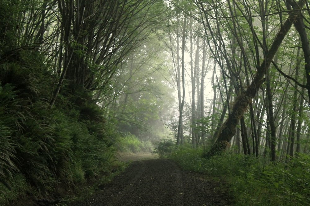 Anderson Point County Park - Hiking - SE Milihanna Rd, Olalla, WA ...