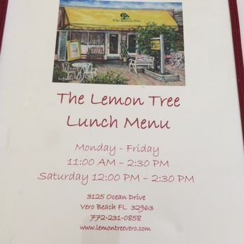 Lemon Tree - 113 Photos & 259 Reviews - Breakfast & Brunch - 3125 Ocean ...