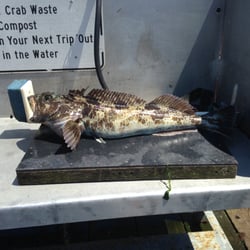 Bandon Bait - 16 Photos & 17 Reviews - Seafood Markets - 110 1st St SE ...