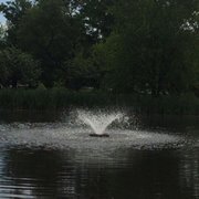 Knight Park - 18 Photos - Parks - Collings Ave Park Ave Browning Rd ...