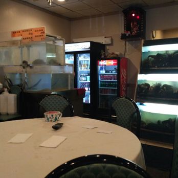 Star Kitchen - 413 Photos & 532 Reviews - Dim Sum - 2917 W Mississippi ...