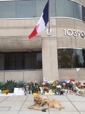 Consulat General de France - Embassy - 16350 S Beverly Glen Blvd ...