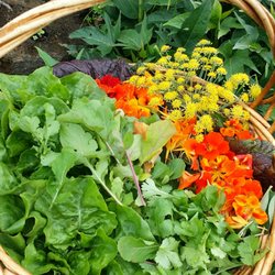 O’o Farms - 152 Photos & 80 Reviews - Specialty Food - 651 Waipoli Rd ...