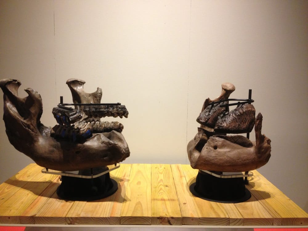 Indiana State Museum - 186 Photos & 46 Reviews - Museums - 650 W ...