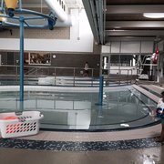 Rainier Beach Pool - 20 Photos & 19 Reviews - Swimming Pools - 8825 ...