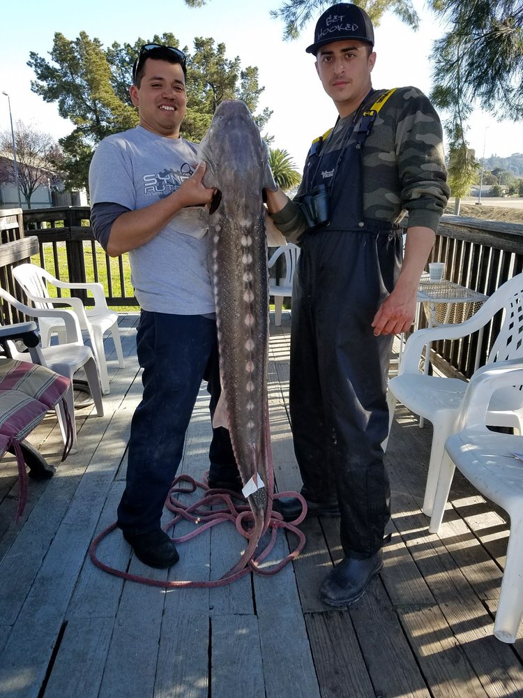 Martinez Marina - 101 Photos & 25 Reviews - Boating - 7 N Court St ...