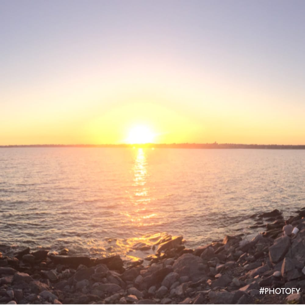 Sachuest Point National Wildlife Refuge - 50 Photos & 33 Reviews ...