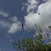 Long Key Natural Area & Nature Center - 120 Photos & 15 Reviews - Parks ...