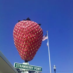 World’s Largest Strawberry! - Local Flavor - 111 Commercial St ...