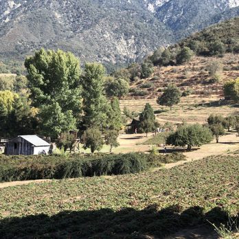 Riley’s Farm - 391 Photos & 185 Reviews - Fruits & Veggies - 12261 S ...