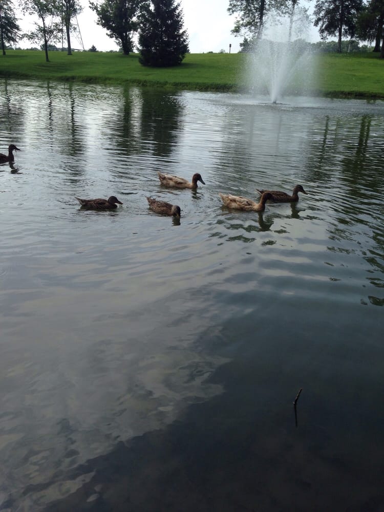 Landen-Deerfield Park - 17 Photos - Parks - 2258 W US Hwy 22 & 3 ...