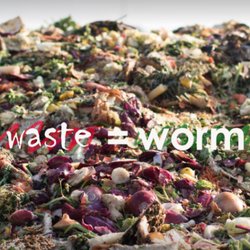 Arizona Worm Farm - Attraction Farms - 8430 S 19th Ave, Phoenix, AZ ...