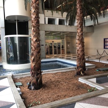 Broward County Libraries - Main Library - 27 Photos & 24 Reviews ...