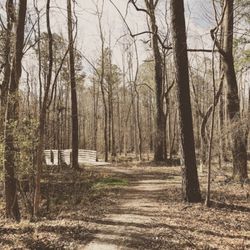 Whitehurst-Buffington House - 12 Photos - Landmarks & Historical ...