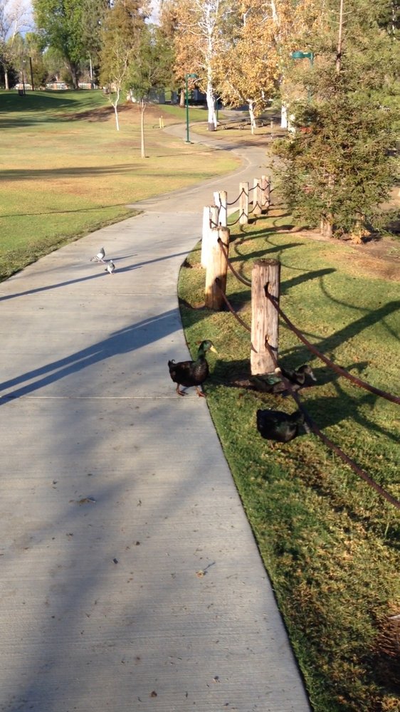 Rancho Simi Community Park - 38 Photos - Tennis - 1765 Royal Ave, Simi ...