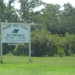 Berry Hill Farm - Local Flavor - 21136 Hwy 40, Loranger, LA - Phone ...