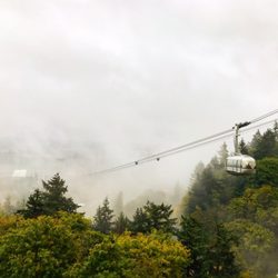 OHSU Hospital - 29 Photos & 36 Reviews - Medical Centers - 808 SW ...