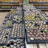 Isaac Farms - 249 Photos & 46 Reviews - Nurseries & Gardening - 18800 ...