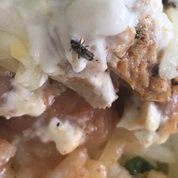 Chipotle Mexican Grill - 26 Photos & 82 Reviews - Mexican - 1136 ...